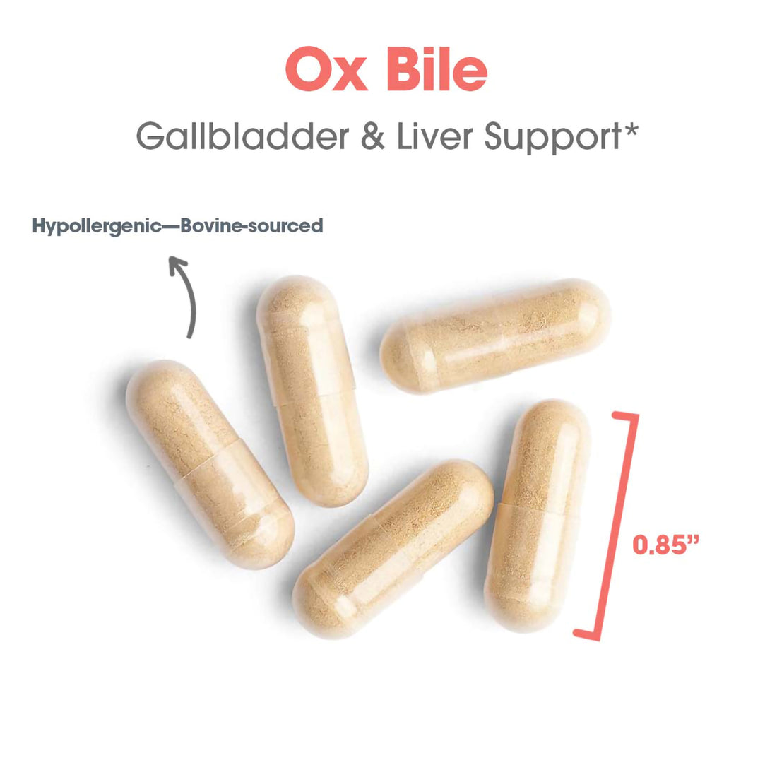 Ox Bile Supplement 500 mg | Allergy Research Group