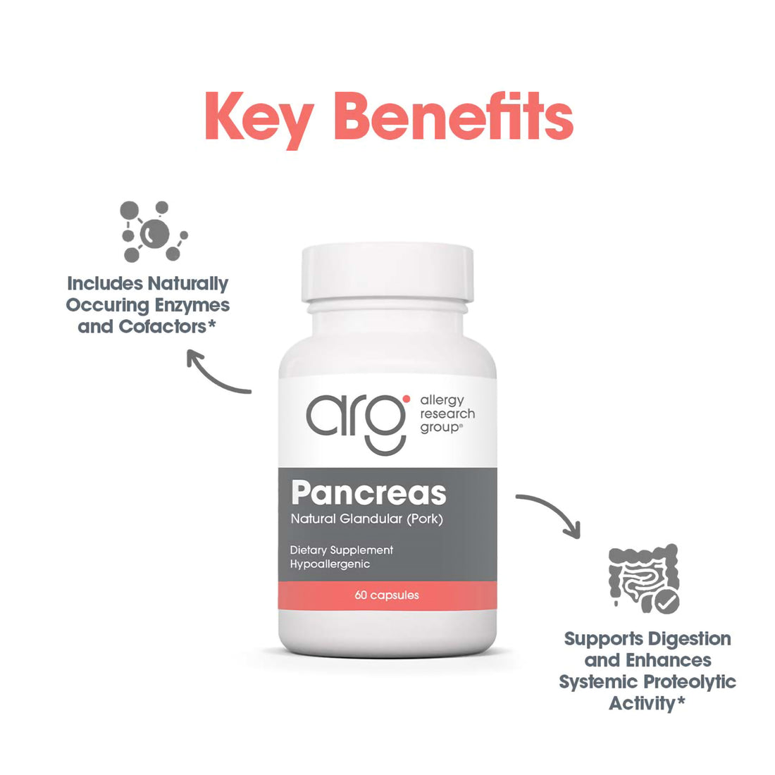 Pancreas Supplement - Pork Glandular 60 | Allergy Research Group
