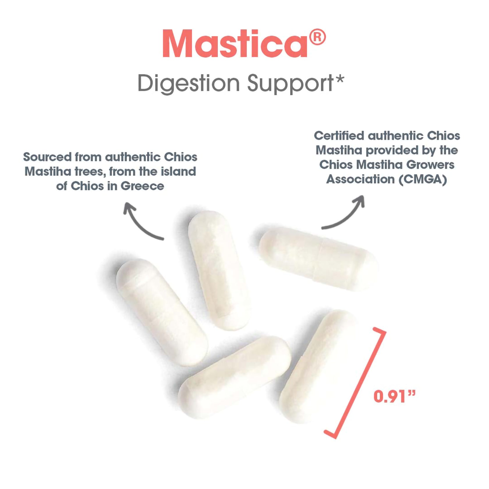 Chios Mastiha Capsules | Allergy Research Group